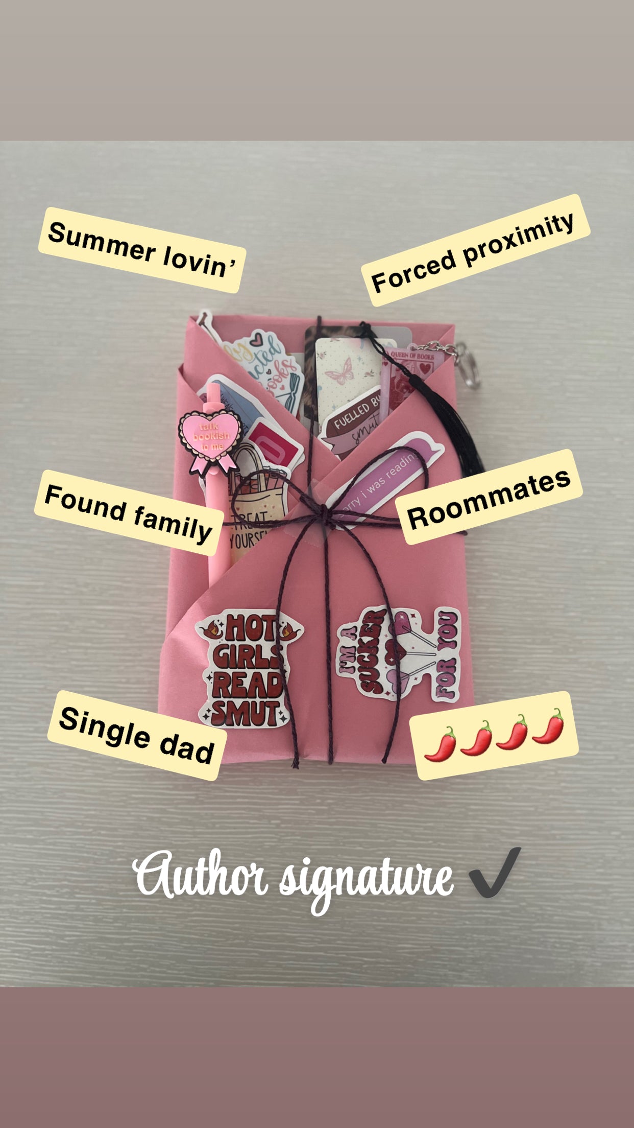 Summer lovin’ roommates Blind date with a book – Spine Tingling Boutique